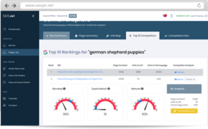 SEOJet - Backlink Management Software & Link Building Tool